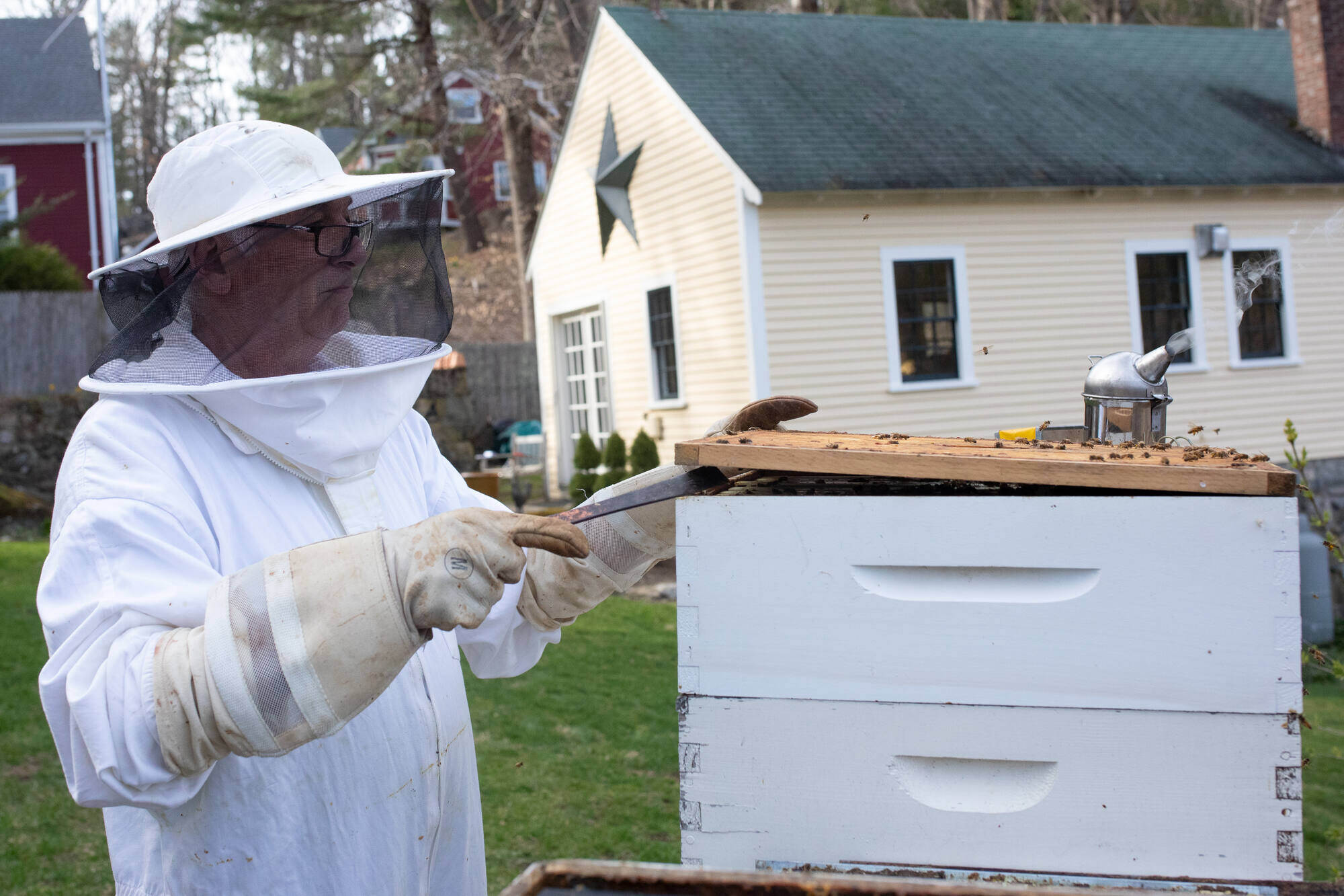 Tom's Bees | Tom Curren Companies